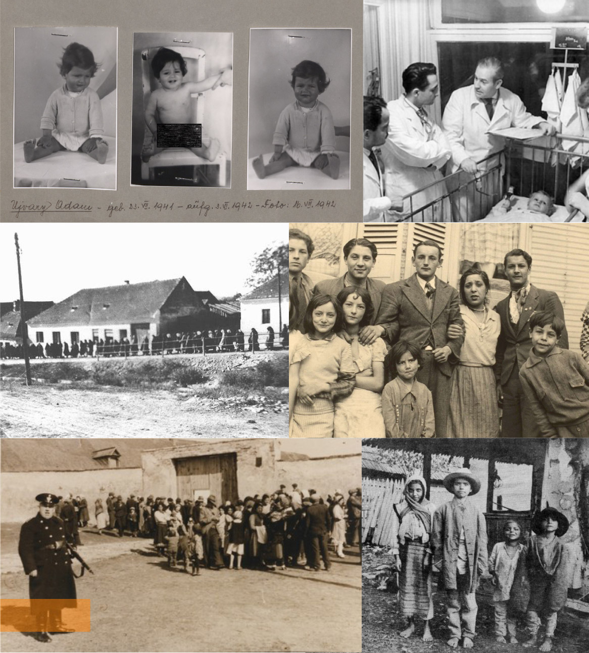 The Ujvari Family - Space Rabbit